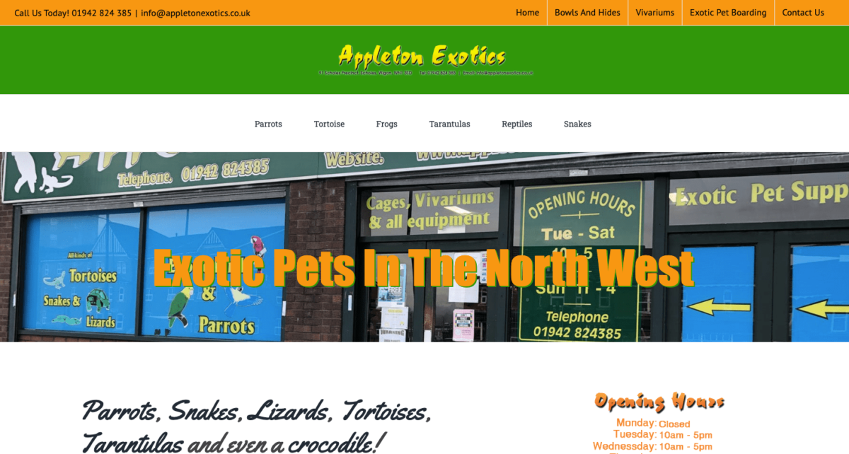 WordPress Web Design - Digital Pixels